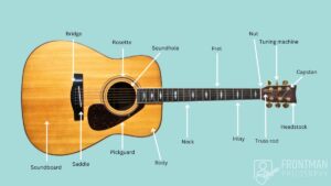 Parts of an Acoustic Guitar (Explained and Labeled)- Frontman Philosophy