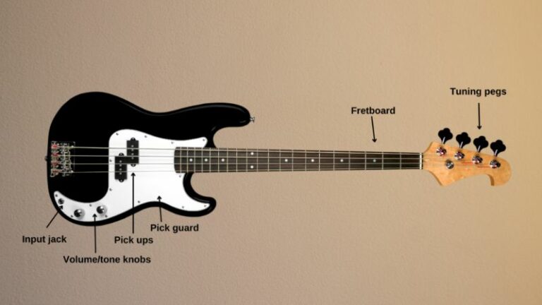 Bass Guitar Vs Double Bass: Differences Explained - Frontman Philosophy