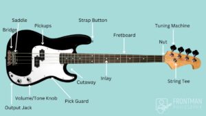 Parts of a Bass Guitar Explained and Labeled - Frontman Philosophy