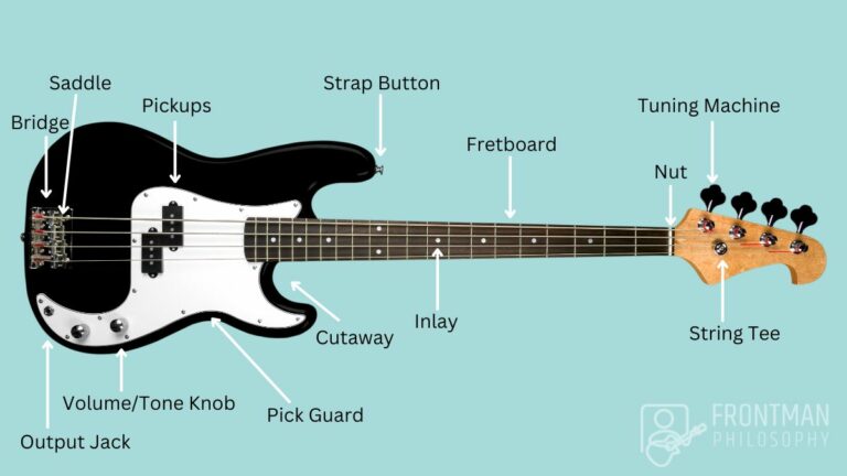 Parts of a Bass Guitar Explained and Labeled - Frontman Philosophy