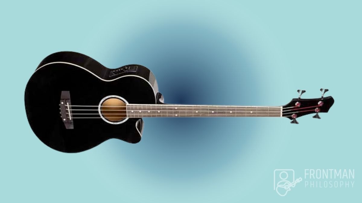 7 Best Acoustic Bass Guitars For All Levels - Frontman Philosophy