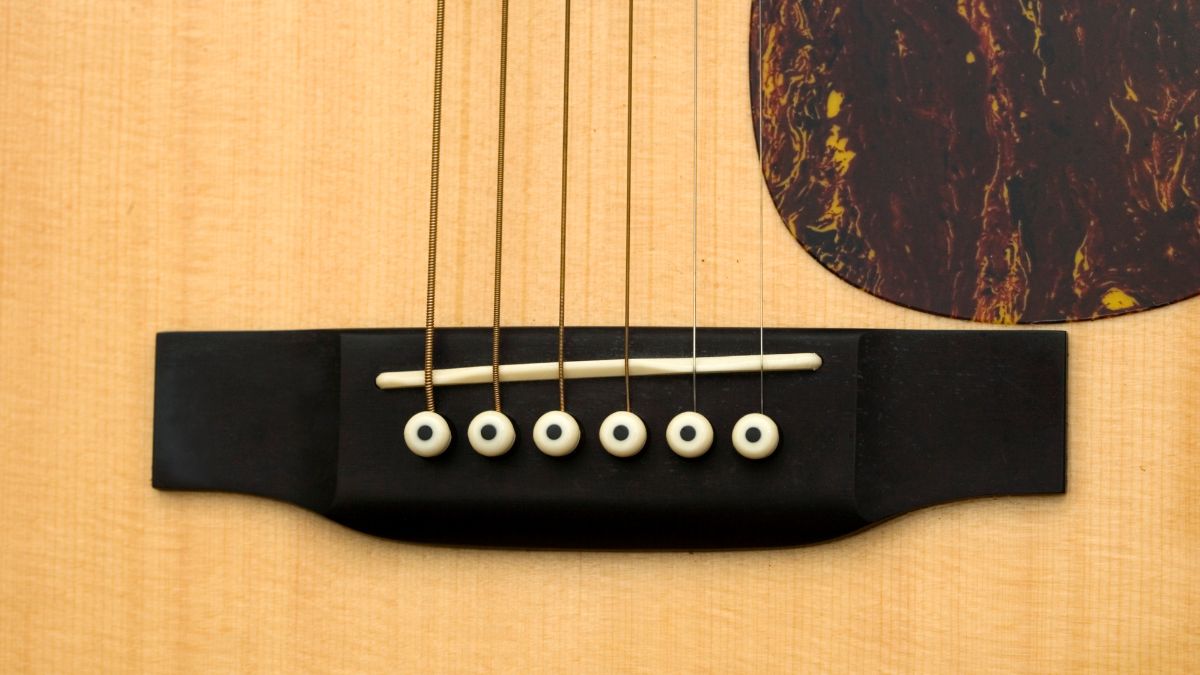 Parts of an Acoustic Guitar (Explained and Labeled)- Frontman Philosophy