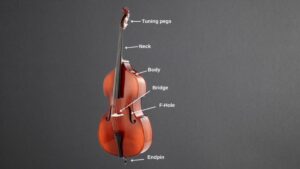 Bass Guitar Vs Double Bass: Differences Explained - Frontman Philosophy