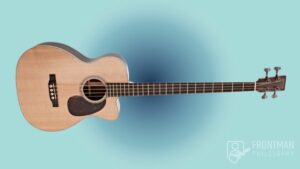 7 Best Acoustic Bass Guitars For All Levels - Frontman Philosophy